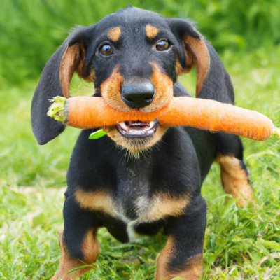 carrotsmuggler on Code4rena