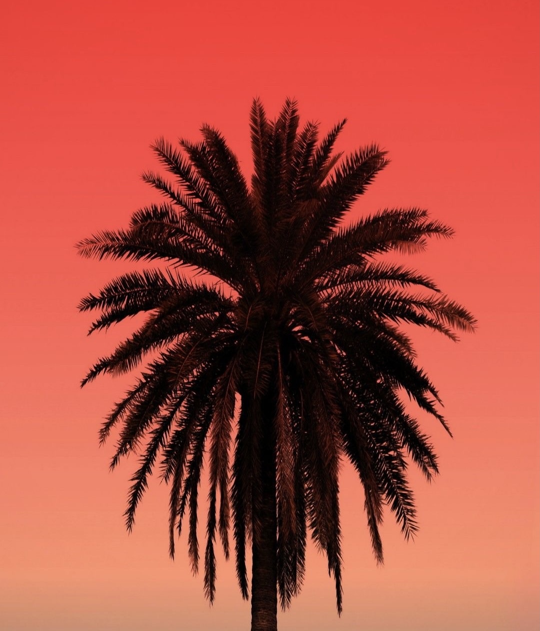 Rhaydden on Code4rena