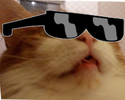 scaraven on Code4rena